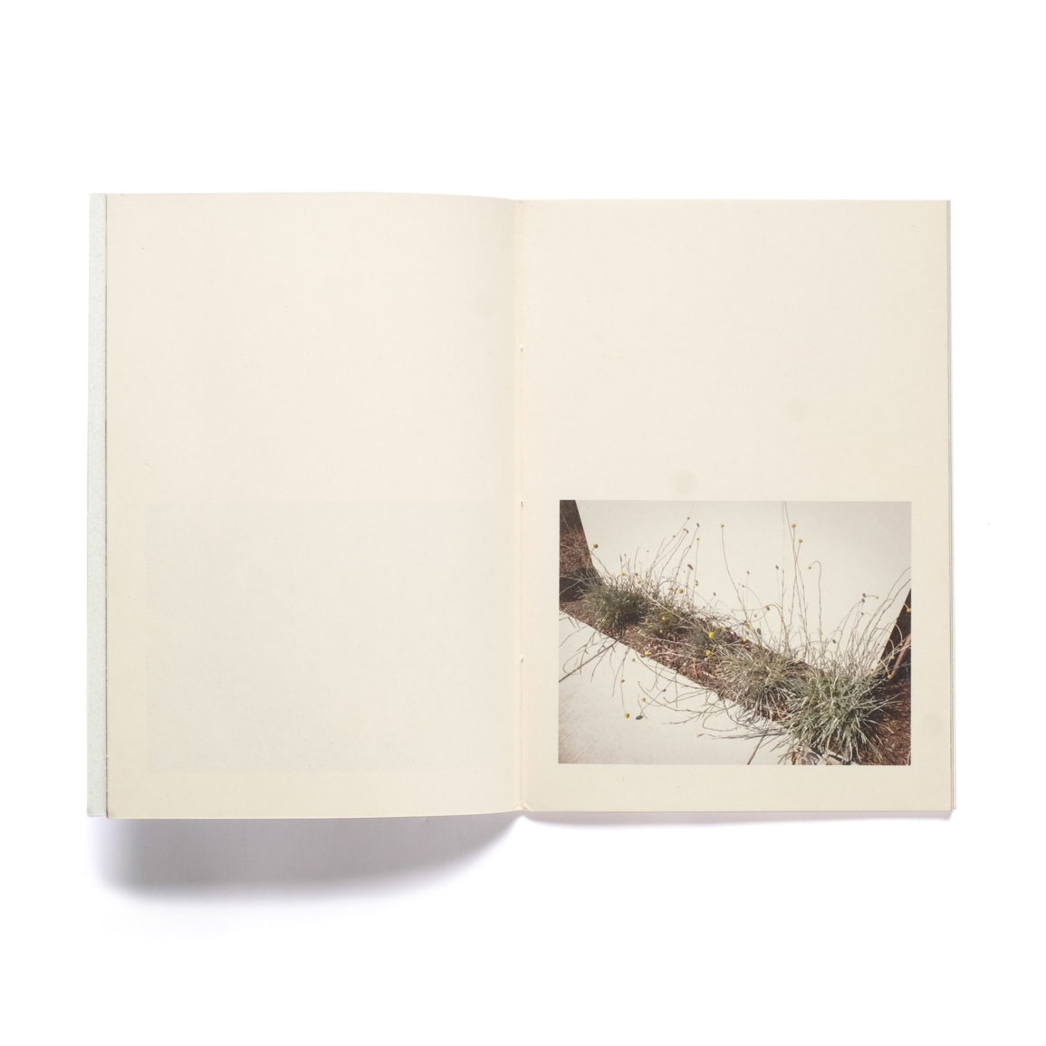 The Flock Project Volume 01 - Matca