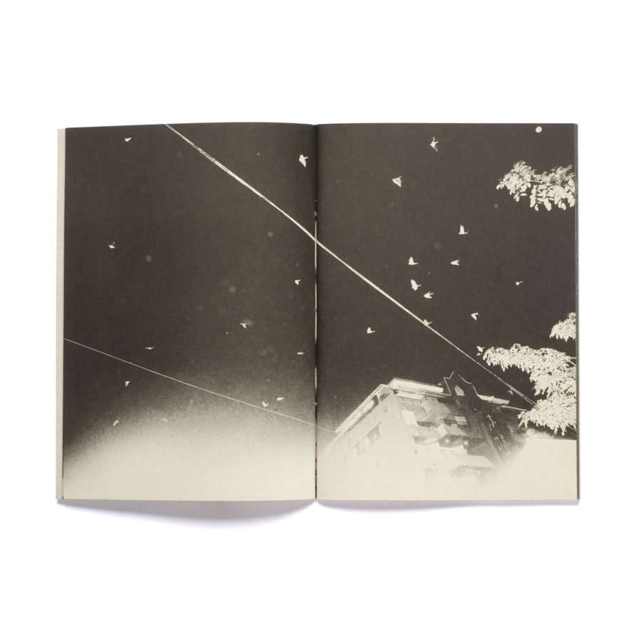 The Flock Project Volume 01 - Matca