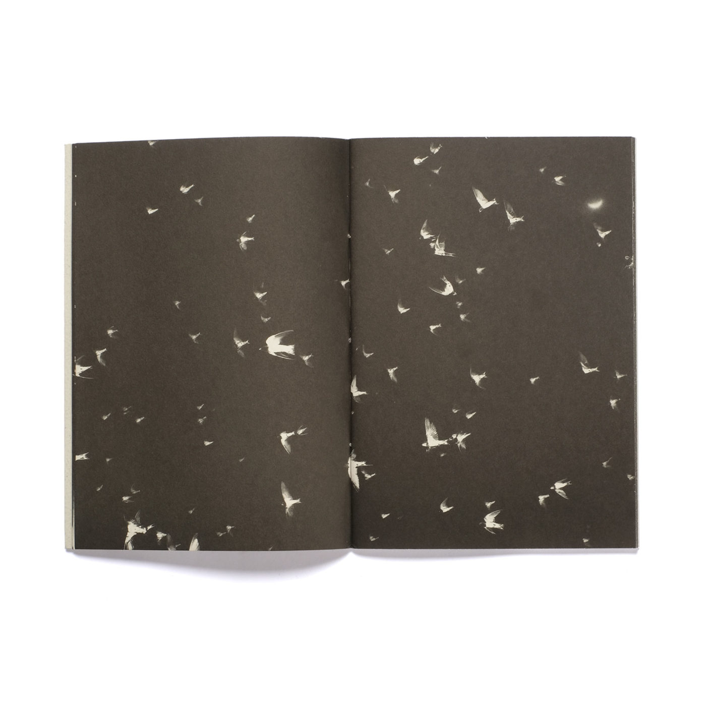 The Flock Project Volume 01 - Matca