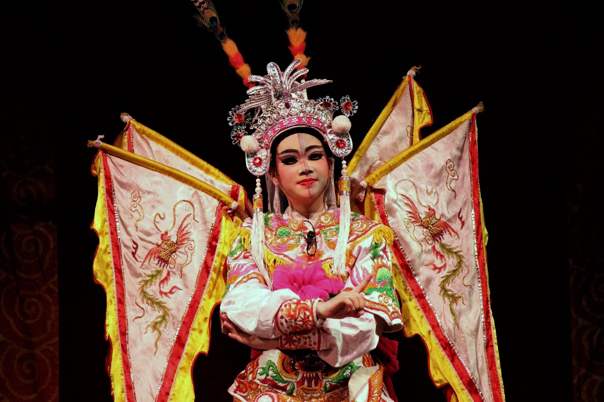 Nguyen Thanh Dong: Dao Tam Xuan - Matca