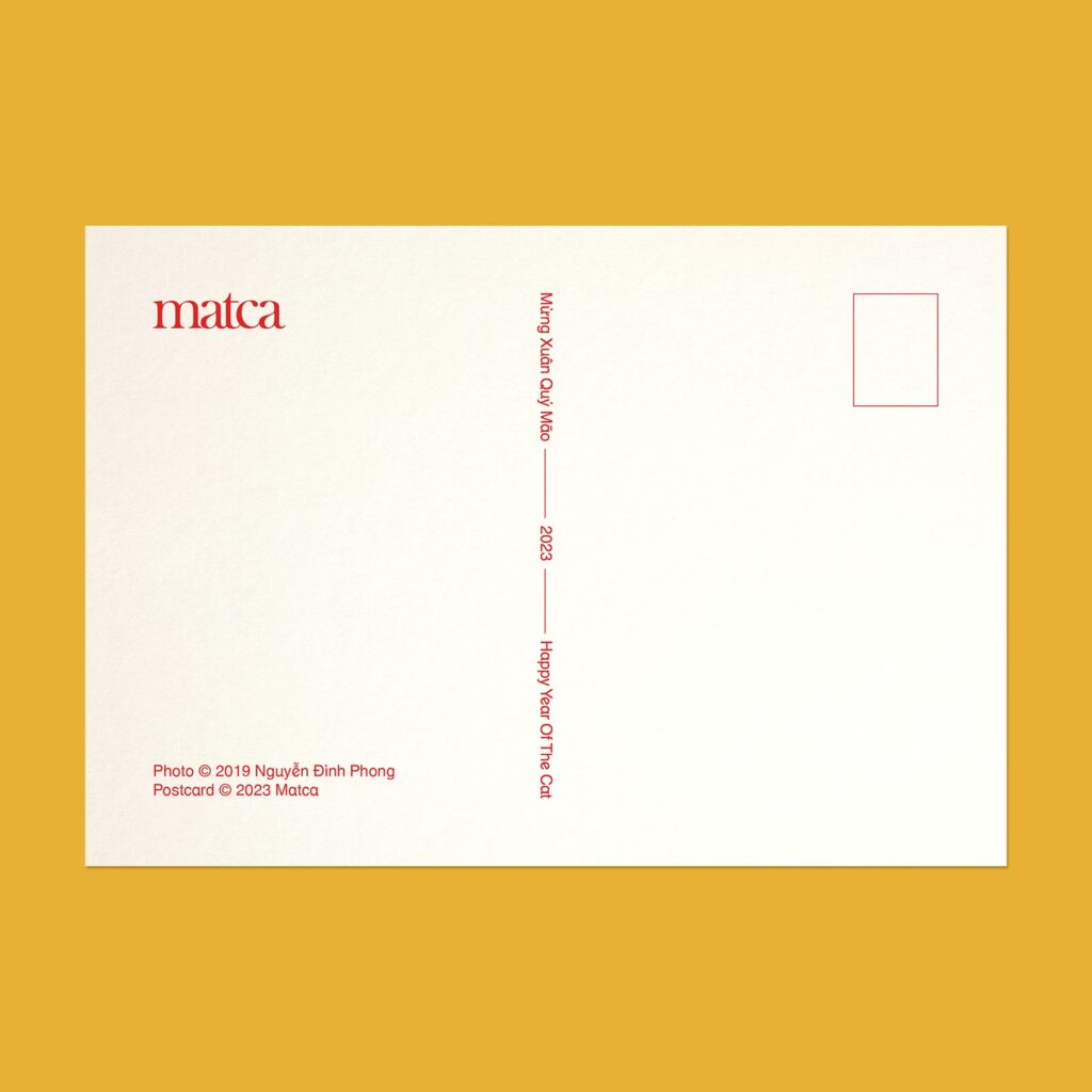 Matca Year Of The Cat 2023 Postcard Set - Matca